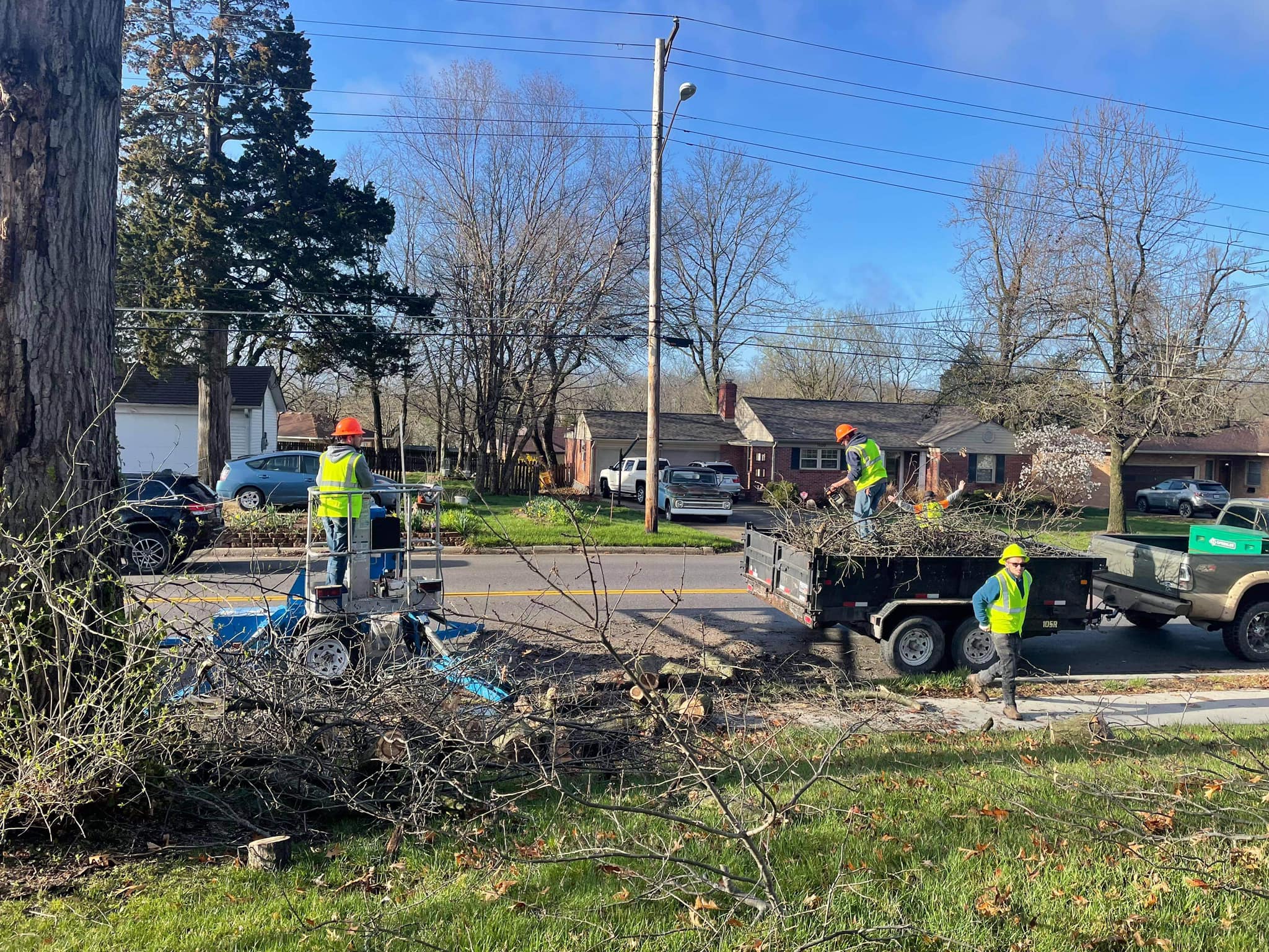 Fields Tree Service - Fields Tree Service