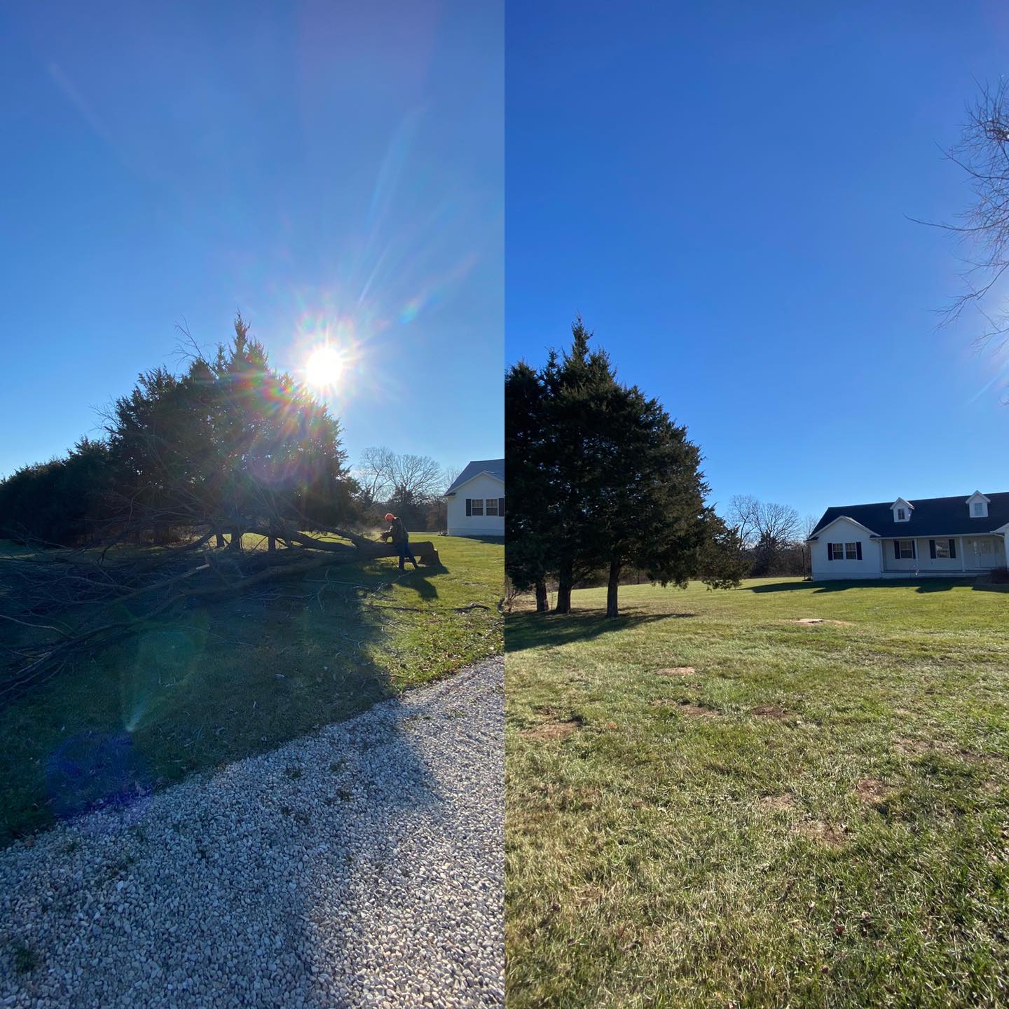 Fields Tree Service - Fields Tree Service