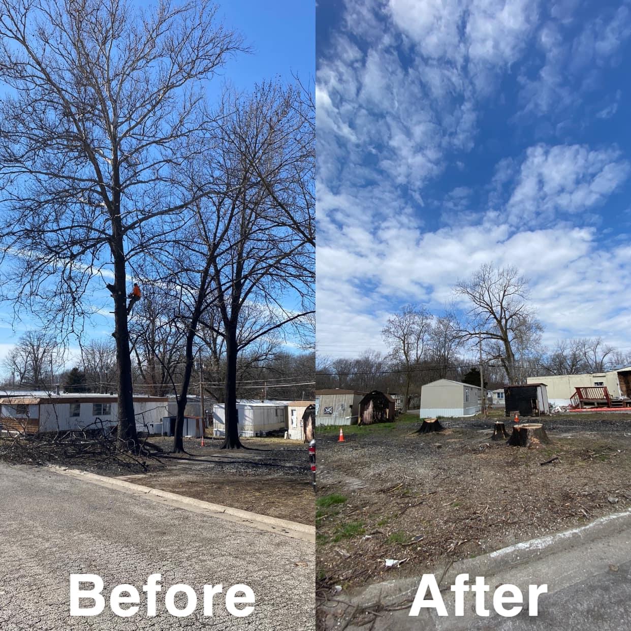 Fields Tree Service - Fields Tree Service